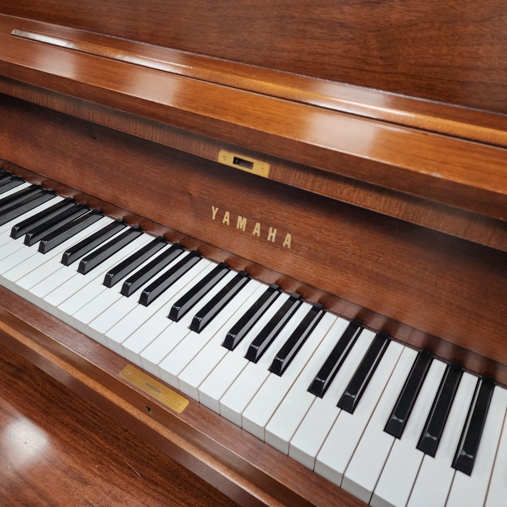 Yamaha P22 T173825 fallboard logo - Little Valley Piano Service, LLC